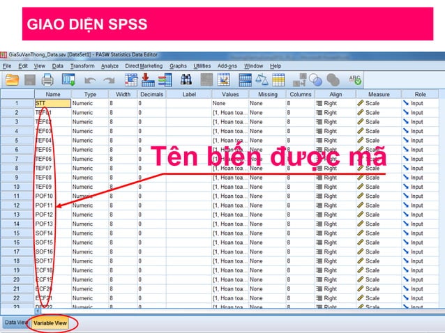 Hdsd spss phan-1 | PPT