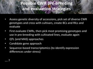 Introduction to prebreeding component of CWR project | PPTX
