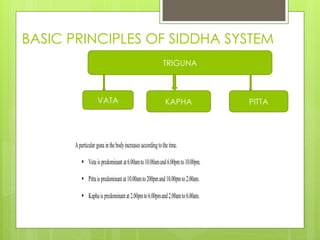 HDT L2 Ayurvedas system of mediocine.pptx