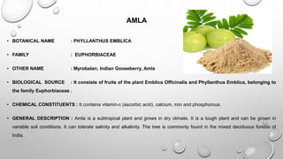 HERBS AS HEALTH FOOD IN HERBAL DRUG TECHNOLOGY | PPTX