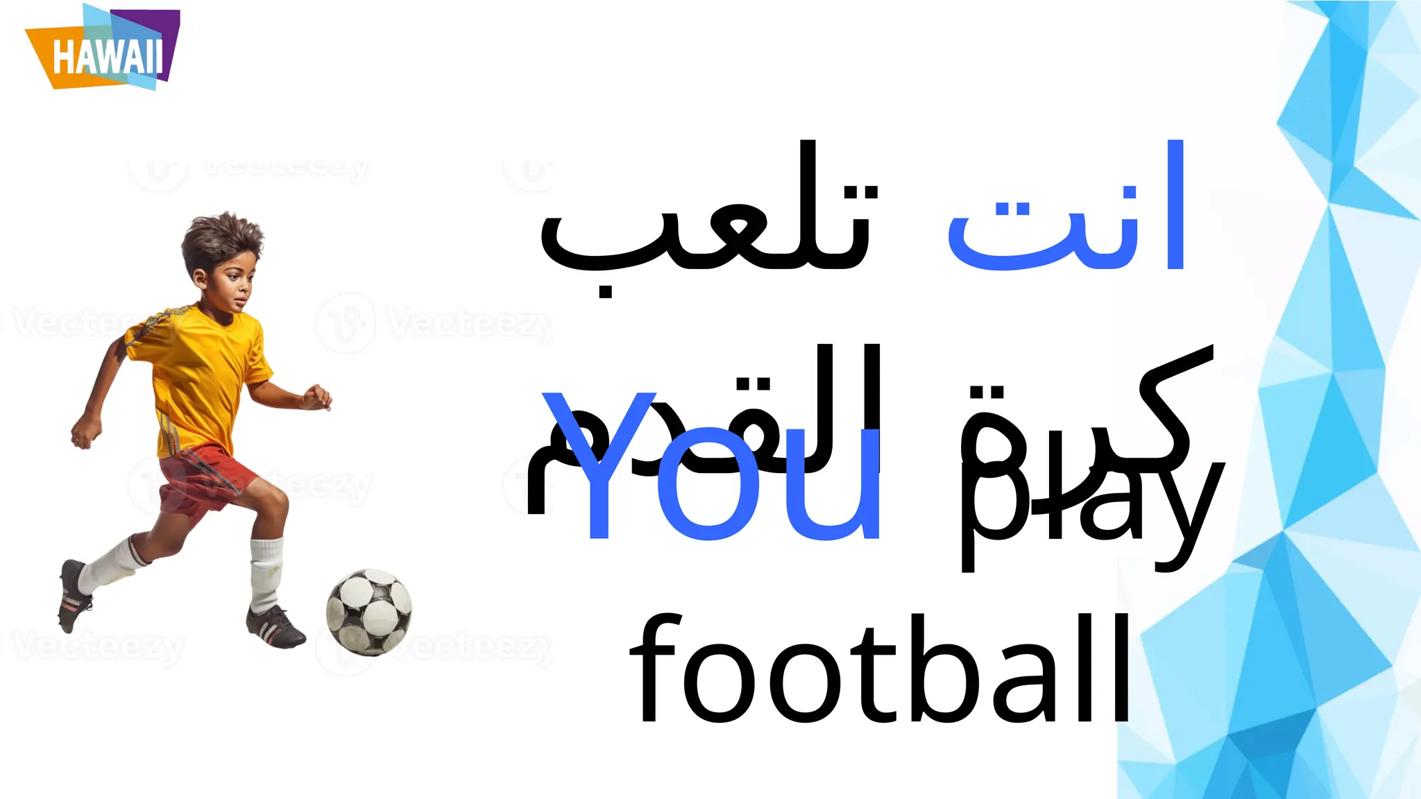 HDW_BEGINNERs_Grammar_A1.01 PRONOUN.pptx