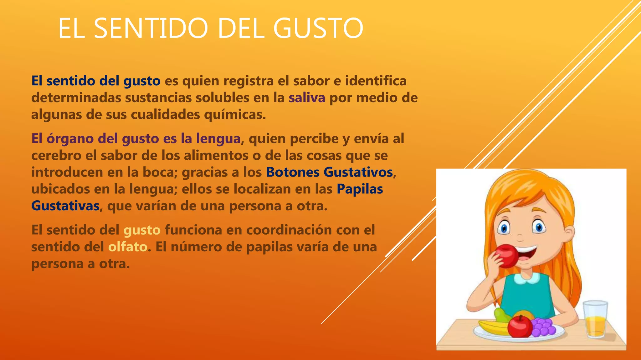 Presentacion sentido del_gusto_final | PPTX