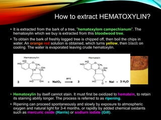 Haematoxylin and Eosin Staining in Ecotoxicology | PPT
