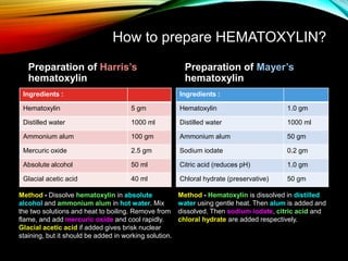 Haematoxylin and Eosin Staining in Ecotoxicology | PPT