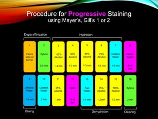 Haematoxylin and Eosin Staining in Ecotoxicology | PPT