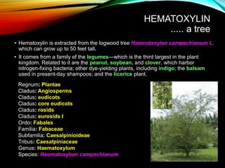 Haematoxylin and Eosin Staining in Ecotoxicology | PPTX