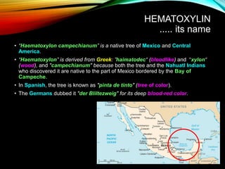 Haematoxylin and Eosin Staining in Ecotoxicology | PPT