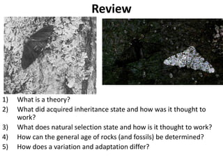 HISTORY OF EVOLUTION | PPT