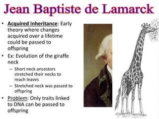 HISTORY OF EVOLUTION | PPT