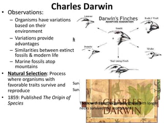 HISTORY OF EVOLUTION | PPT