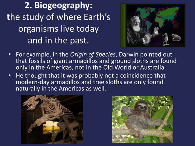 HISTORY OF EVOLUTION | PDF