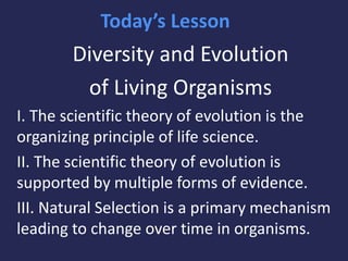 HISTORY OF EVOLUTION | PDF