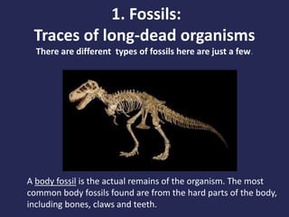 HISTORY OF EVOLUTION | PDF