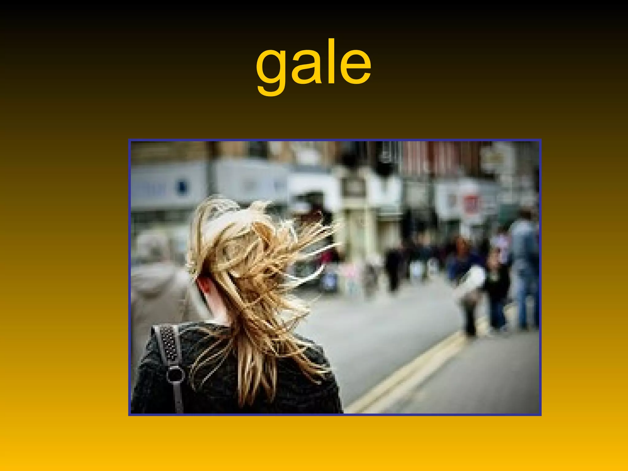 Chester Cricket's Pigeon Ride Vocabulary | PPT