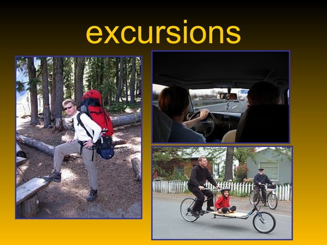 Chester Cricket's Pigeon Ride Vocabulary | PPT