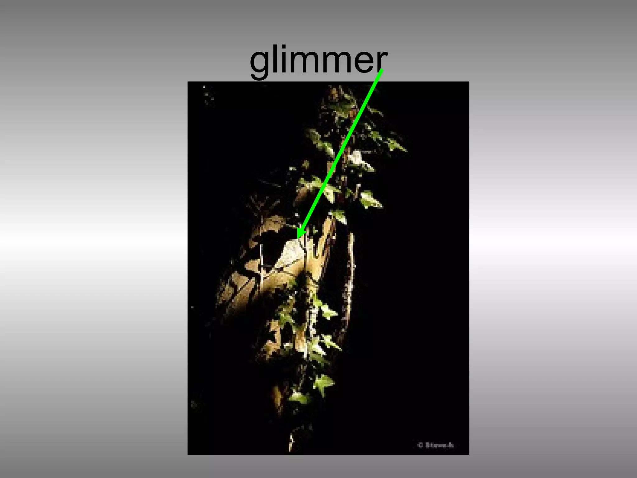 Paul Revere's Ride Vocabulary | PPT