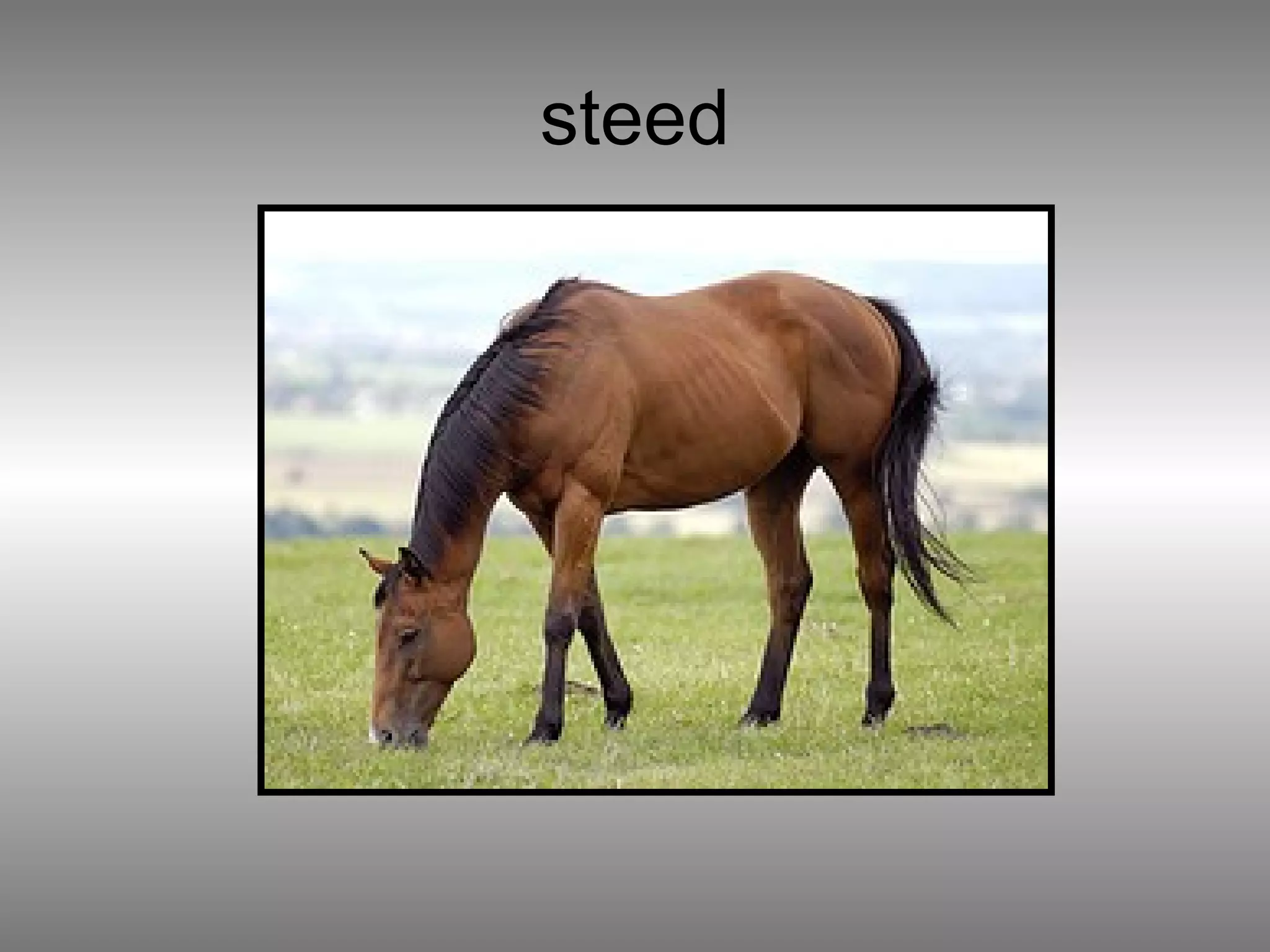 Paul Revere's Ride Vocabulary | PPT