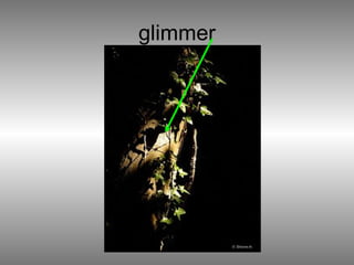 Paul Revere's Ride Vocabulary | PPT