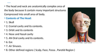 head-and-neck-anatomy-lab-1-Autosaved.pptx