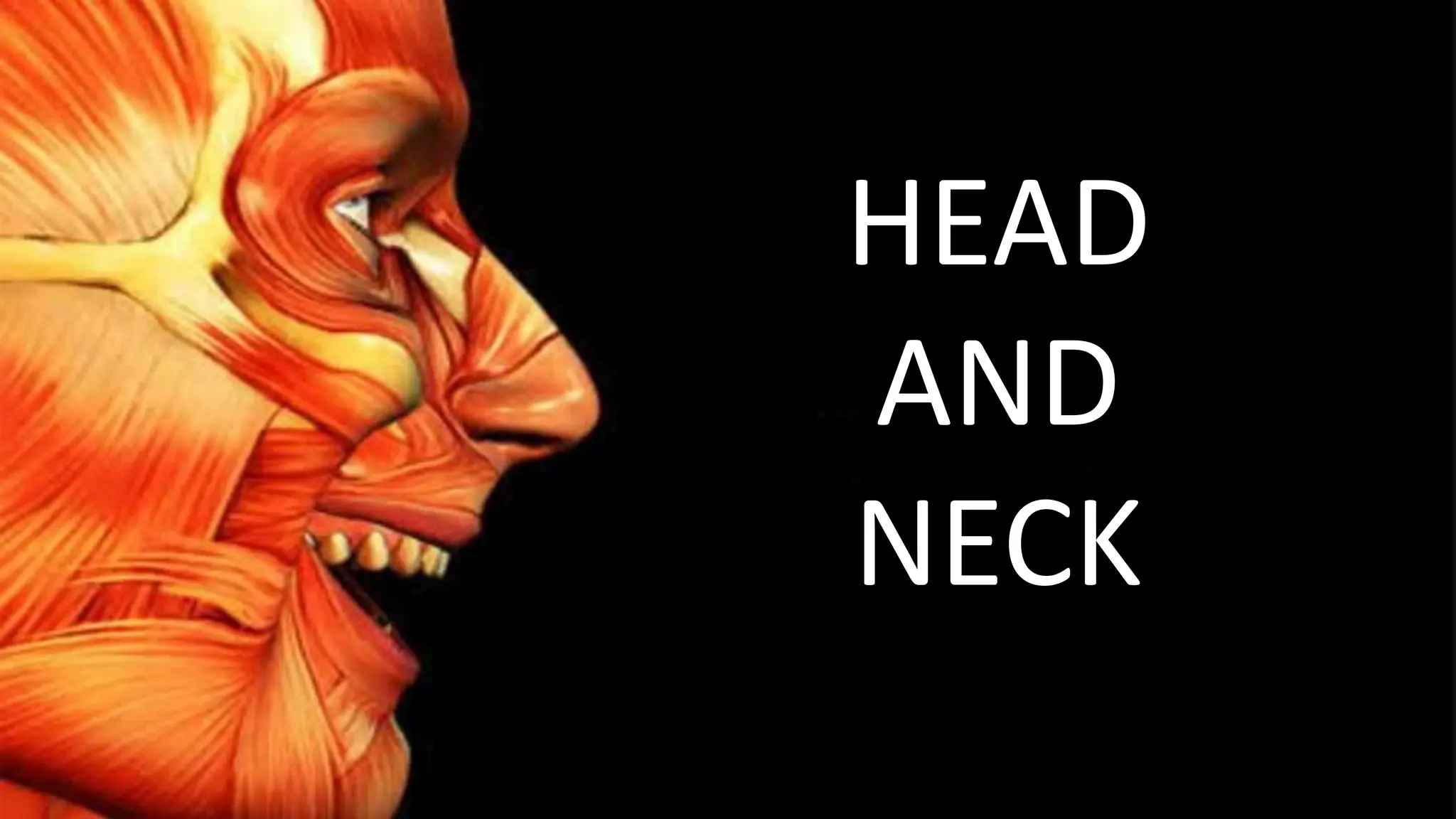 head-and-neck for nursing students (1).pptx