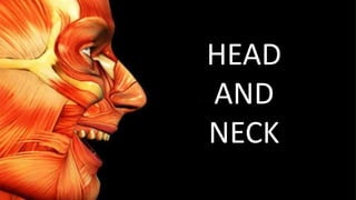 head-and-neck for nursing students (1).pptx | Ear, Nose and Throat ...