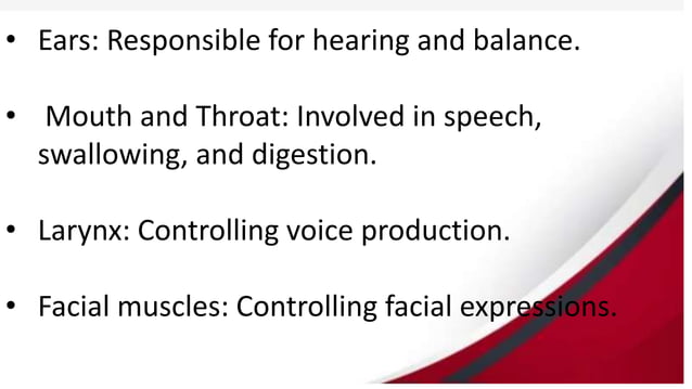 head-and-neck for nursing students (1).pptx | Ear, Nose and Throat ...