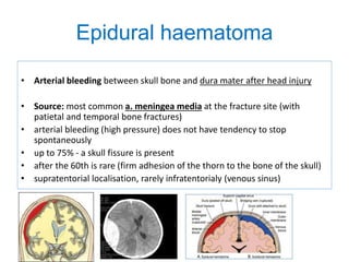 Head-and-spinal-cord-injury for nurse in emergency | PPT
