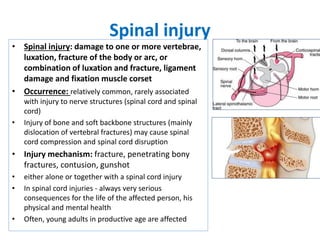 Head-and-spinal-cord-injury for nurse in emergency | PPT