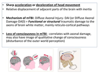 Head-and-spinal-cord-injury open and closed focal and diffuse primary ...