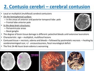 Head-and-spinal-cord-injury open and closed focal and diffuse primary ...
