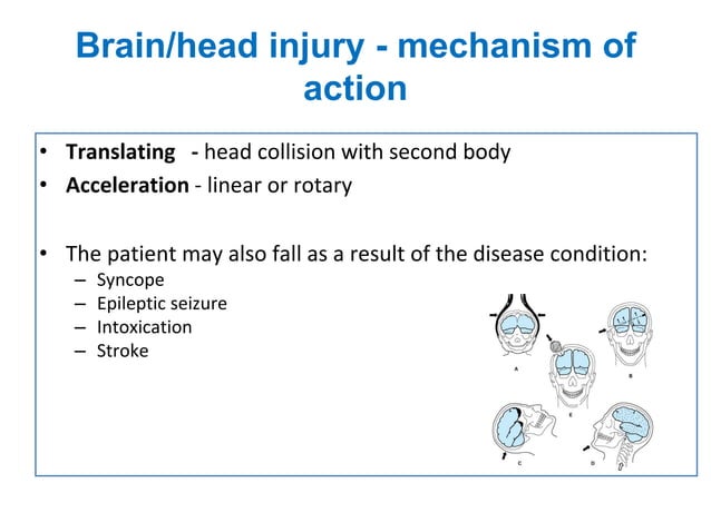 Head-and-spinal-cord-injury open and closed focal and diffuse primary ...