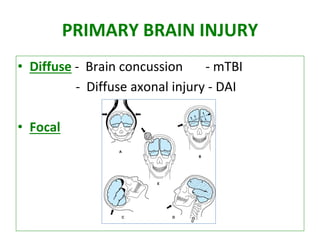 Head-and-spinal-cord-injury open and closed focal and diffuse primary ...