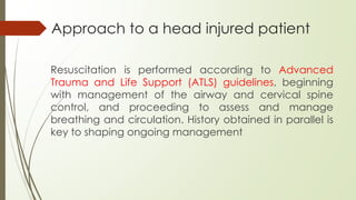 HEAD-injury-MX.-Copy 5.pptx