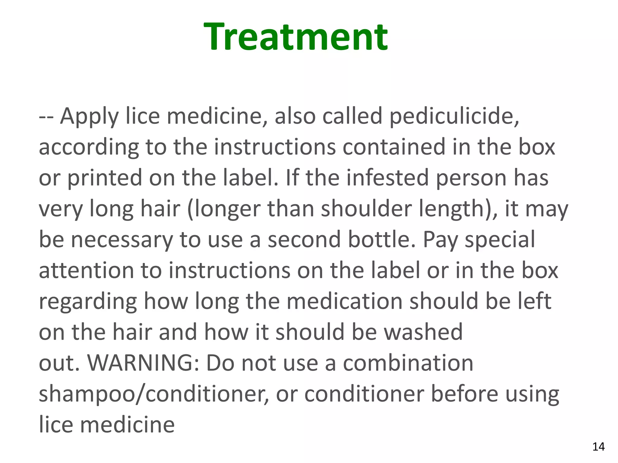 Head Lice | PPTX