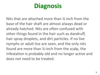 Head Lice | PPTX