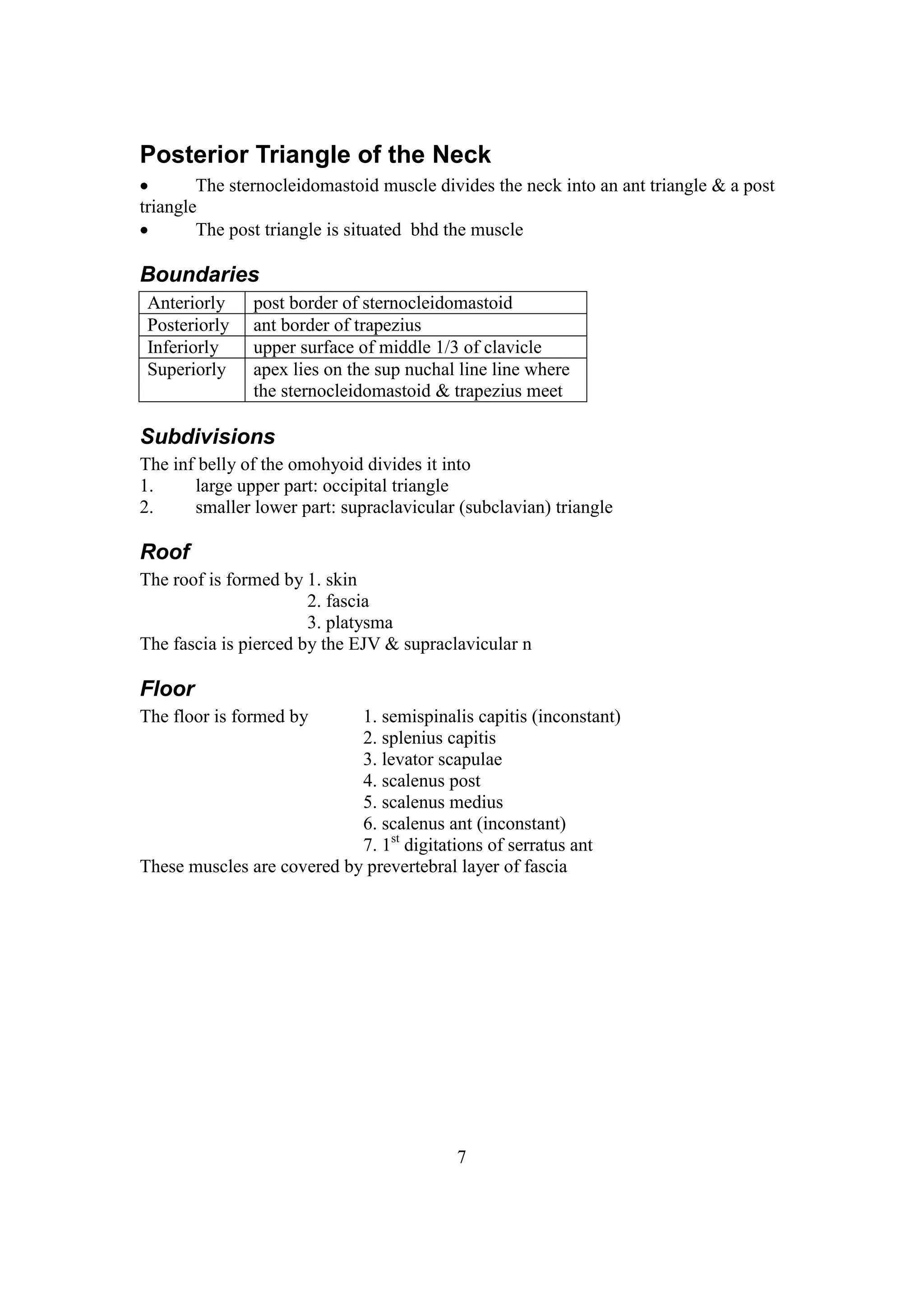 Complete Summary Of the Head and Neck Anatomy | PDF