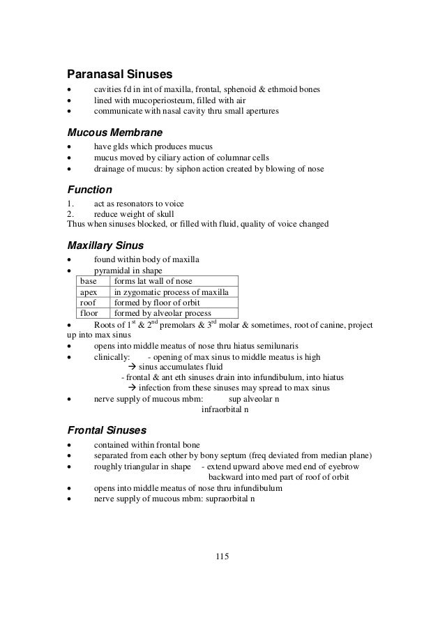 Complete Summary Of The Head And Neck Anatomy complete-summary-of-the-head-and-neck-anatomy