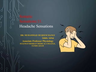 HEADACHE.pptx somatosensory 11 human physiology | PPT