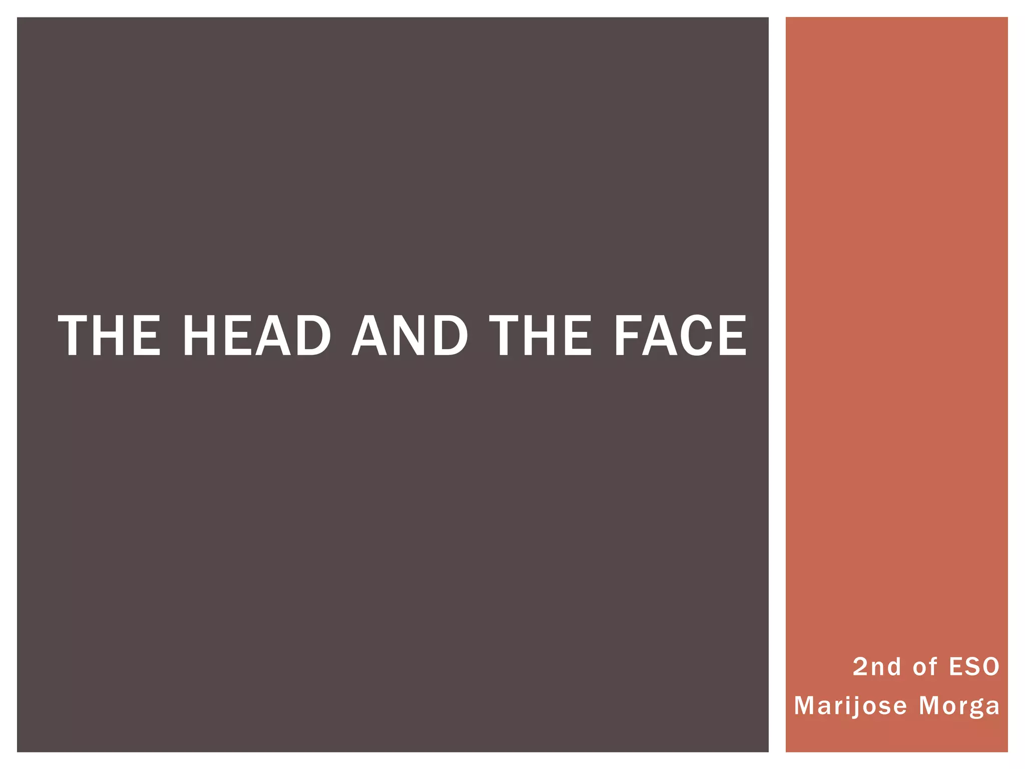 Parts of the head and face | PPTX