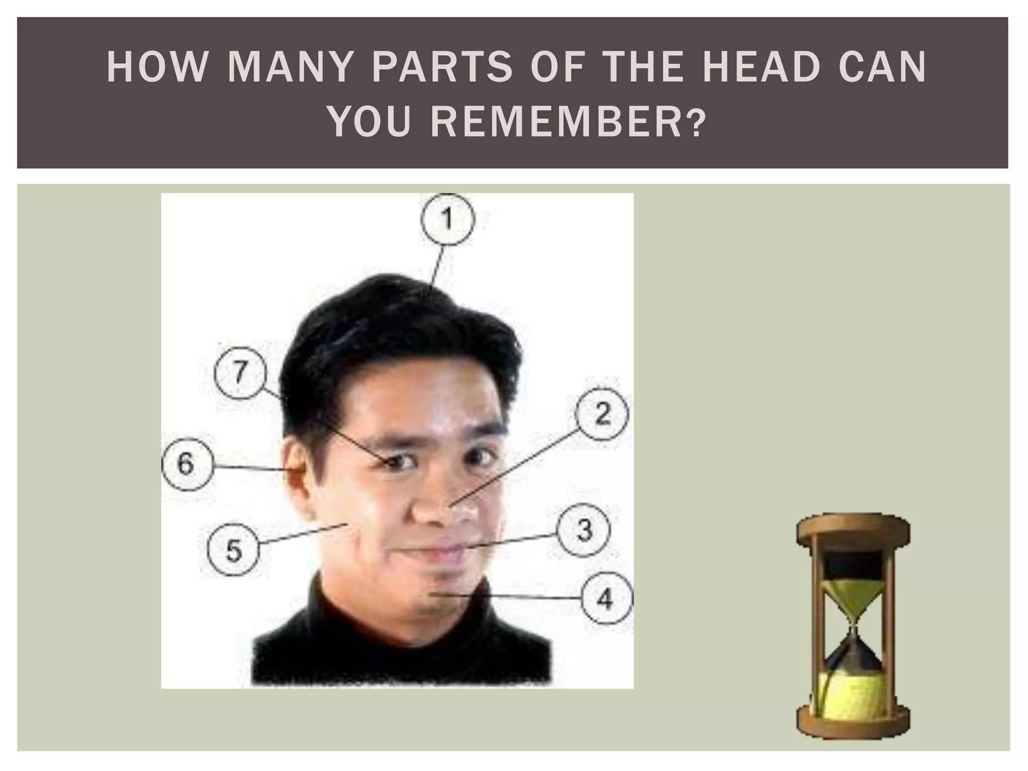 Parts of the head and face | PPTX