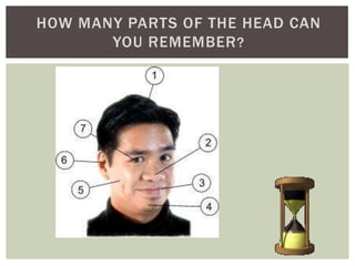 Parts of the head and face | PPTX