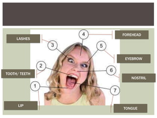 Parts of the head and face | PPTX
