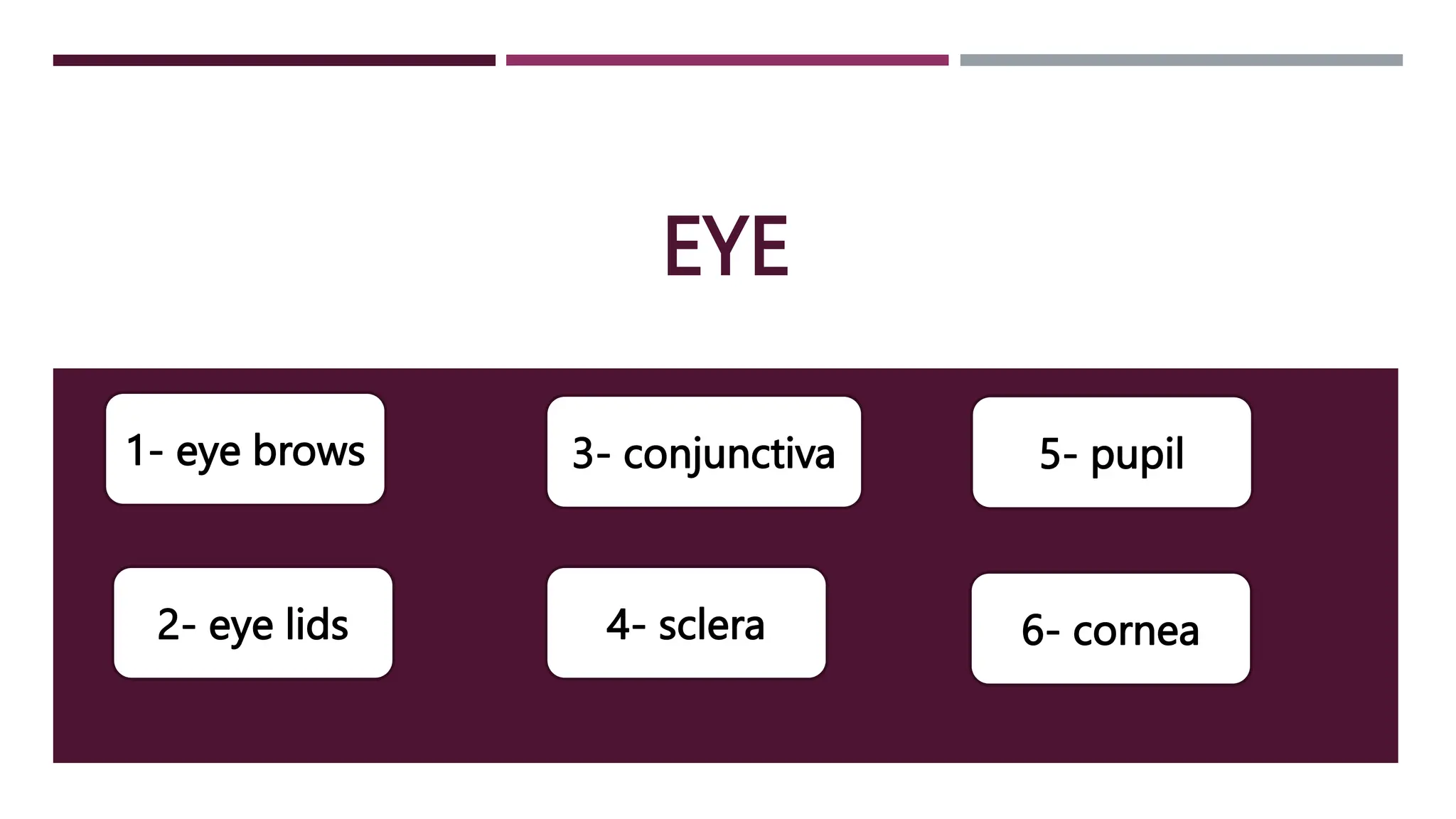 head and face examination part 1555.pptx