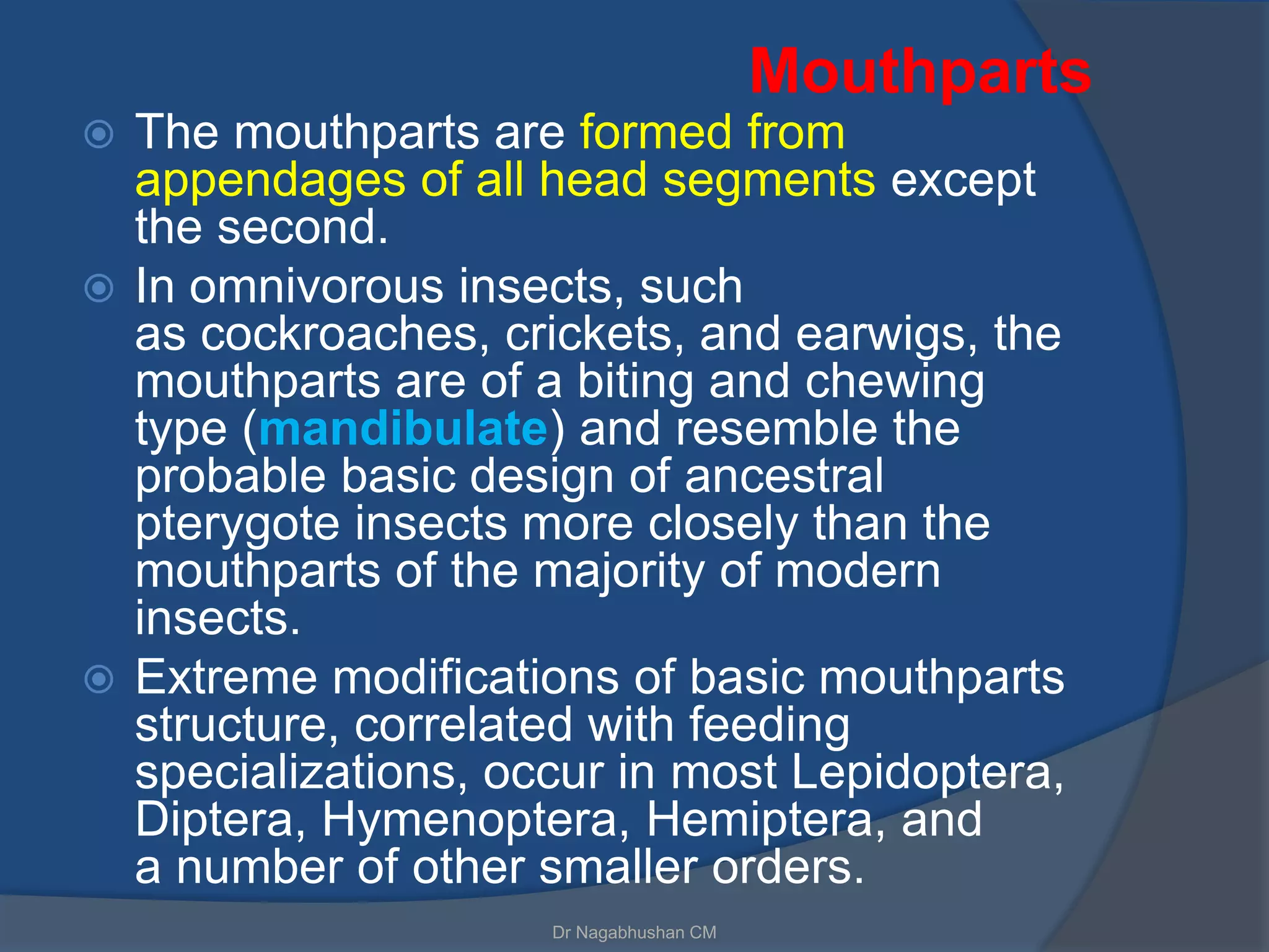 Head and its appendages of insects | PPTX