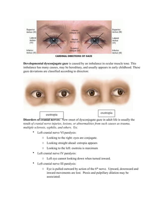 Head and neck | PAGES