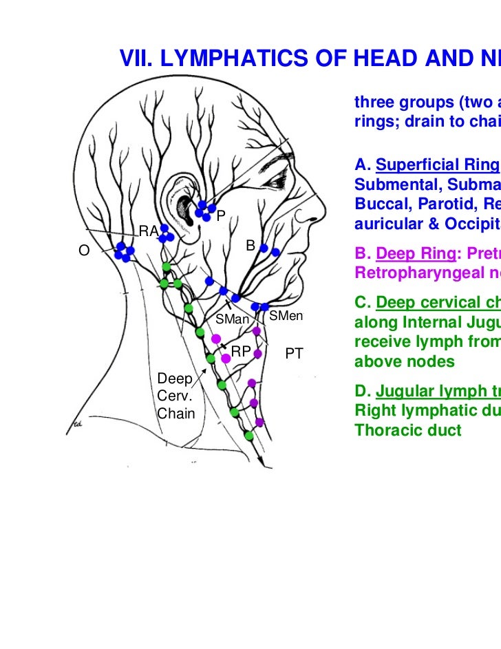 Occipital lymph nodes - rightserious