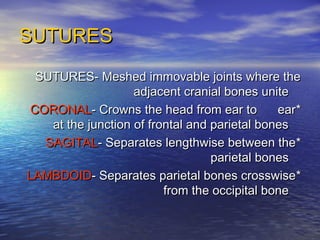 Head and neck | PPT