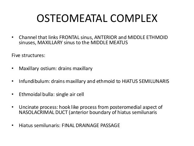 Head and Neck Imaging