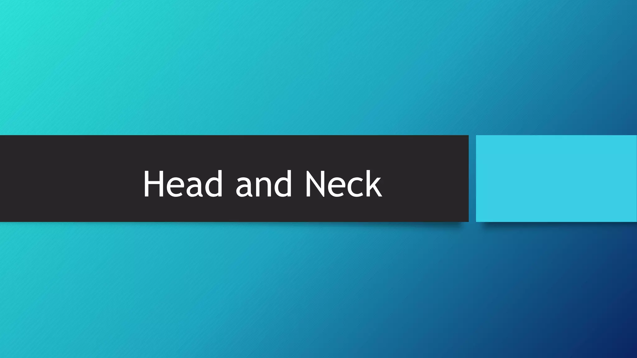Head and neck | PPT