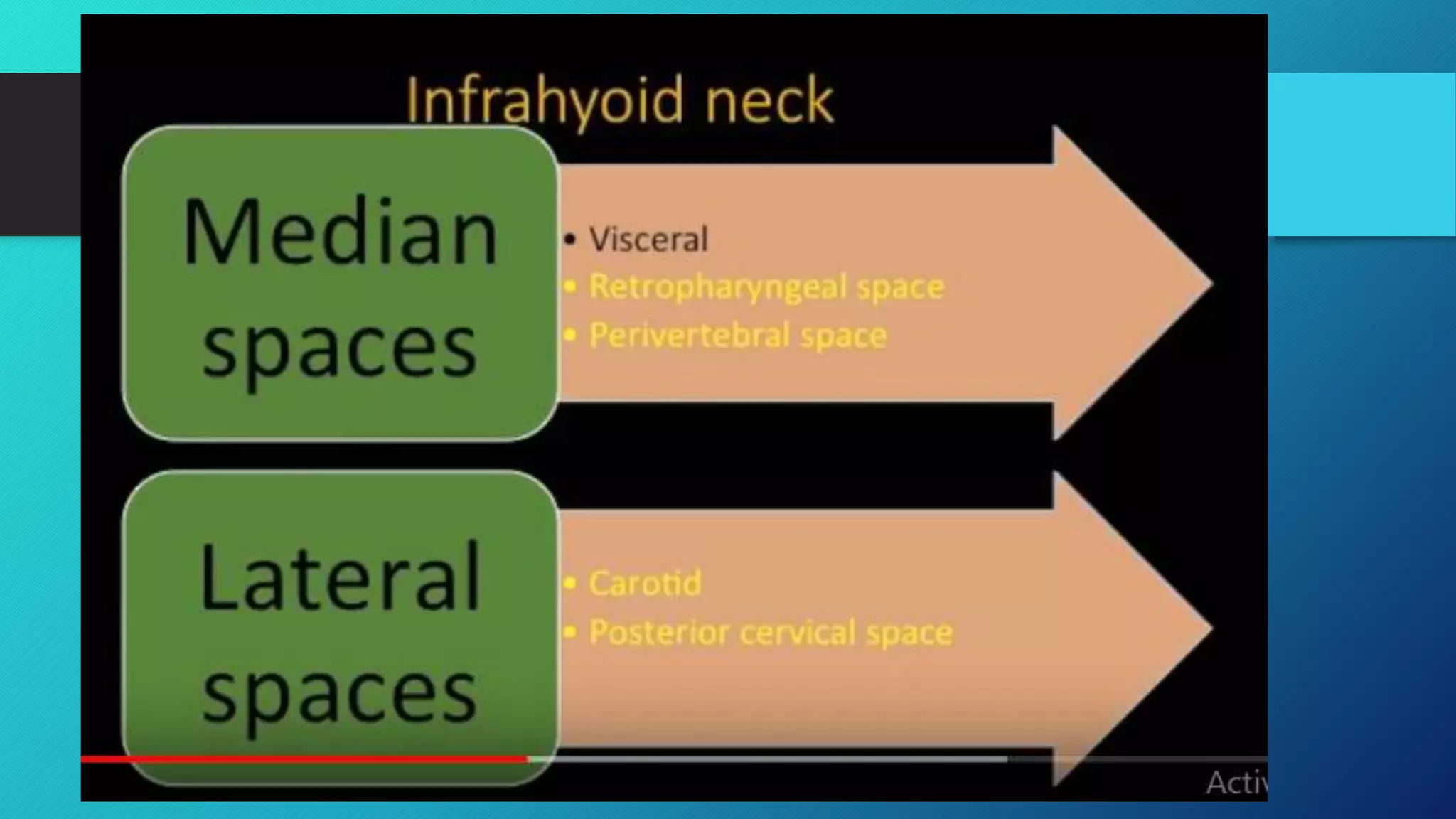 Head and neck | PPT